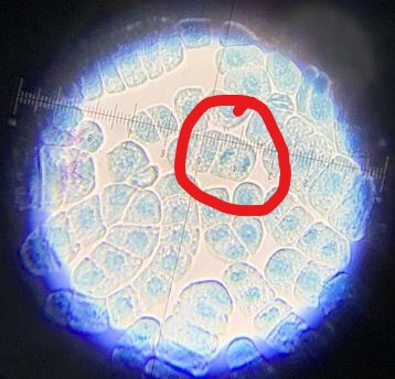 Gallery - Discover Science Christchurch